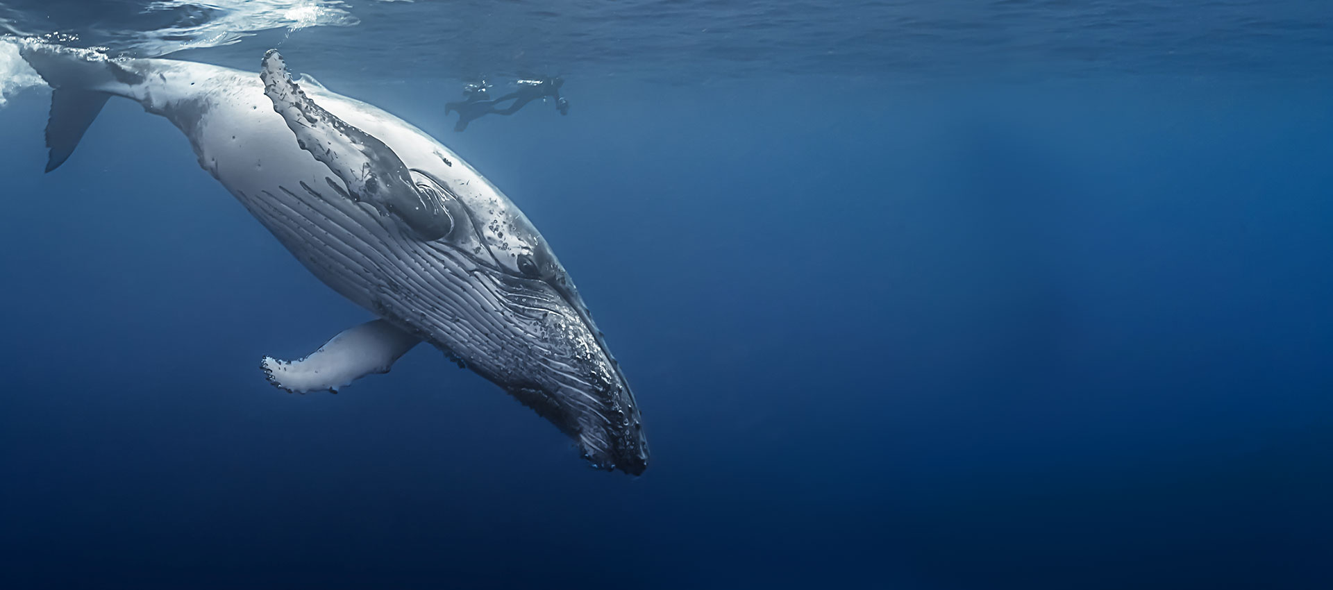 EcoExploratorio: Museo de Ciencias de Puerto Rico