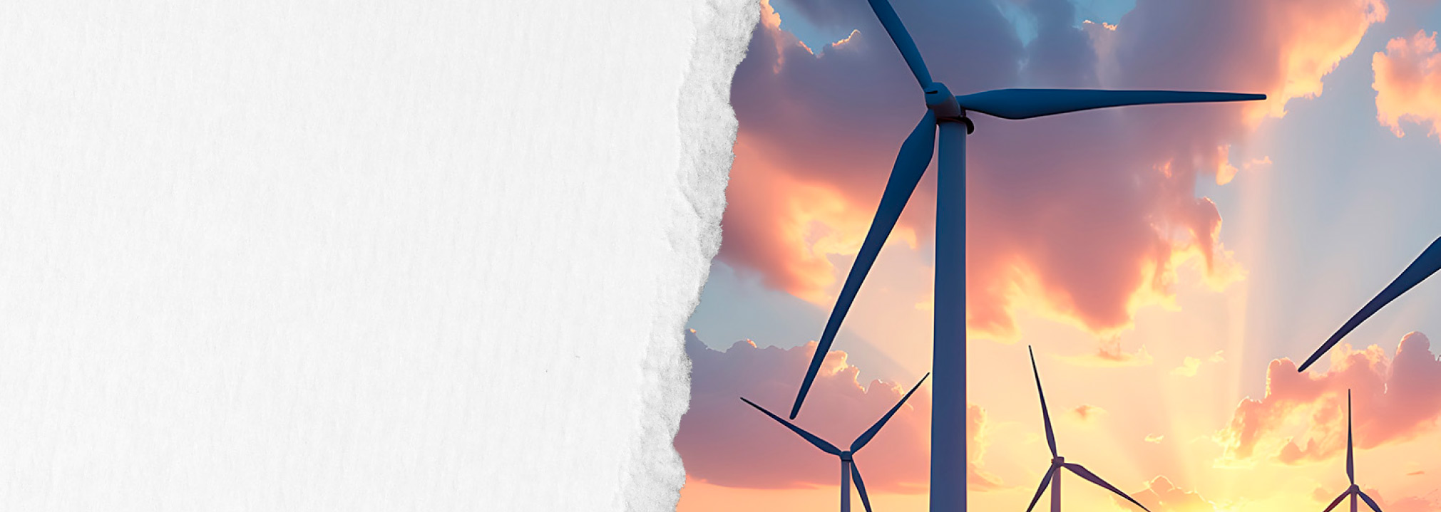 EcoExploratorio: Museo de Ciencias de Puerto Rico