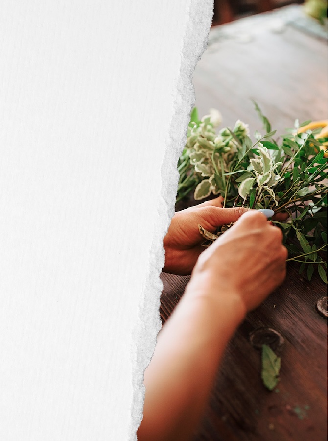 EcoExploratorio: Museo de Ciencias de Puerto Rico