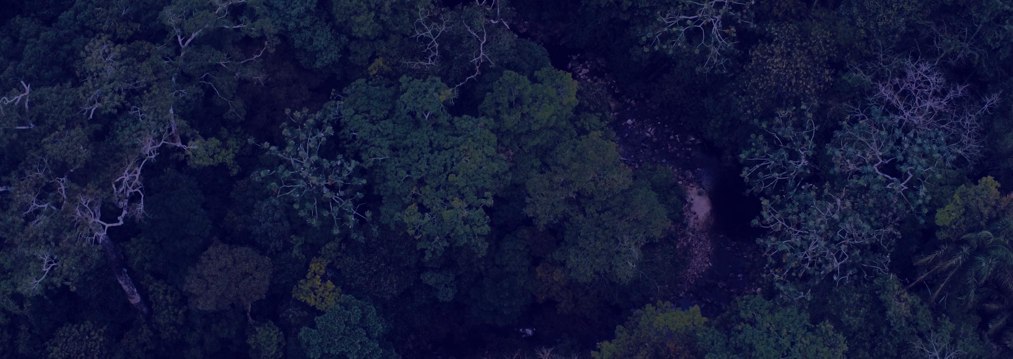 EcoExploratorio: Museo de Ciencias de Puerto Rico