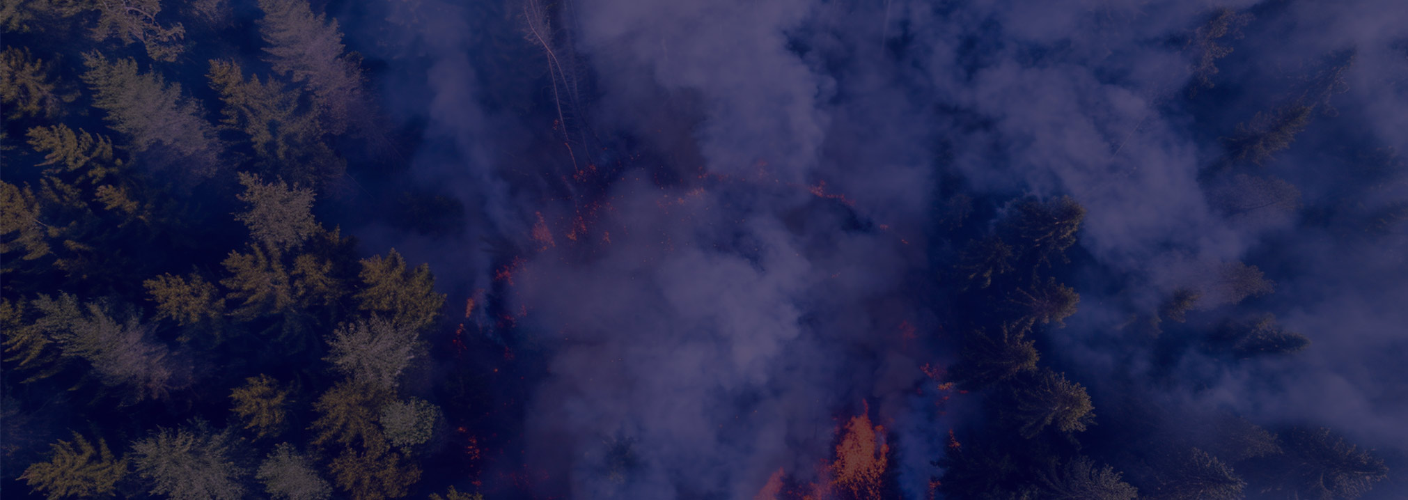 EcoExploratorio: Museo de Ciencias de Puerto Rico