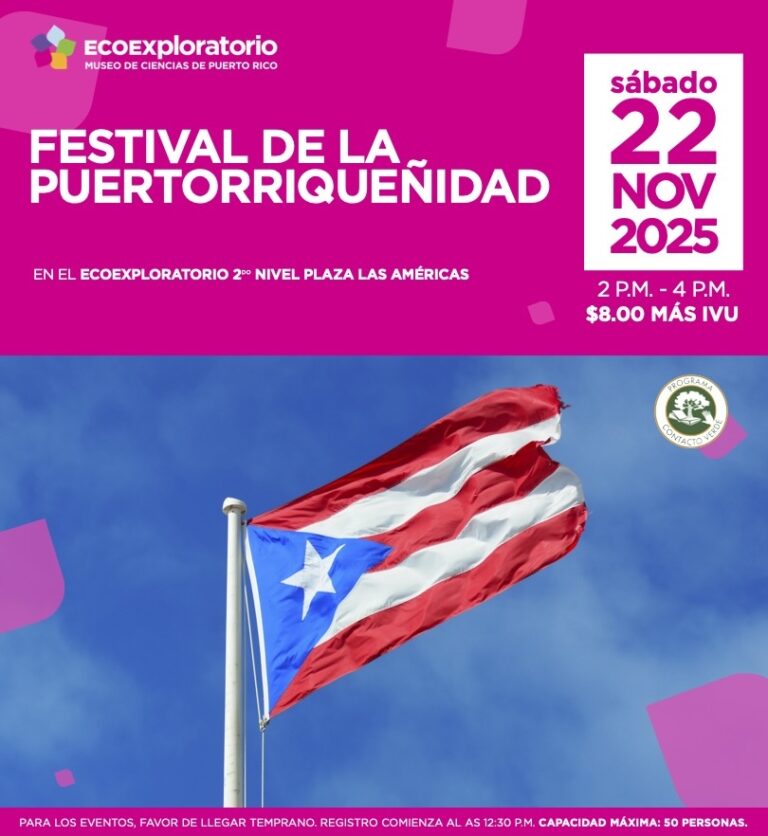 Sábado 22 de noviembre 2025 - Festival de la Puertorriqueñidad ...